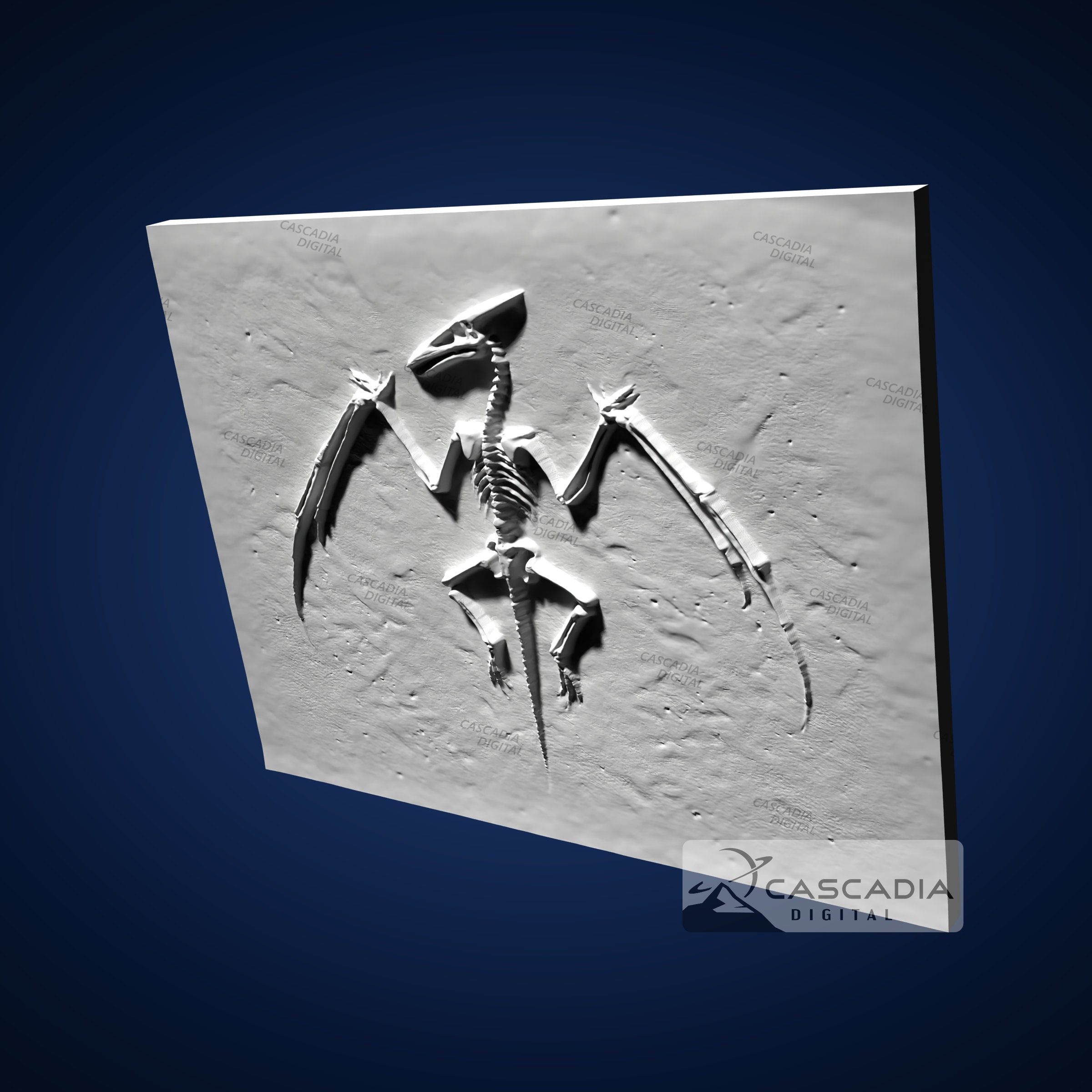 Fossil Full Pterodactyl - STL Model for CNC Router and 3D Printing - Etsy