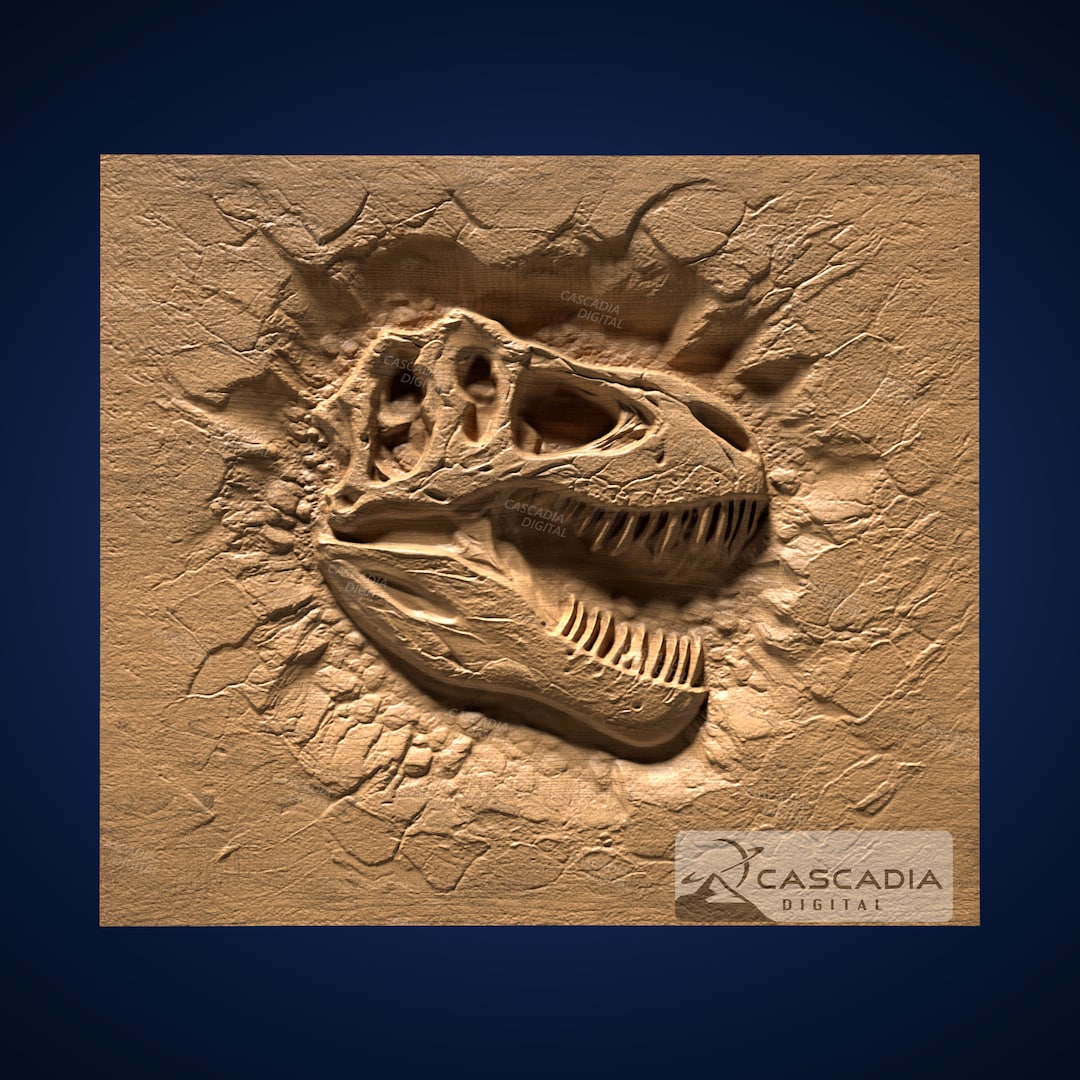 Trex Fossil Skull in Rock 3D STL File for CNC Router, 3D Print, Casting ...
