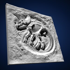 Triceratops Fossil Full - STL Model for CNC Router and 3D Printing - Etsy