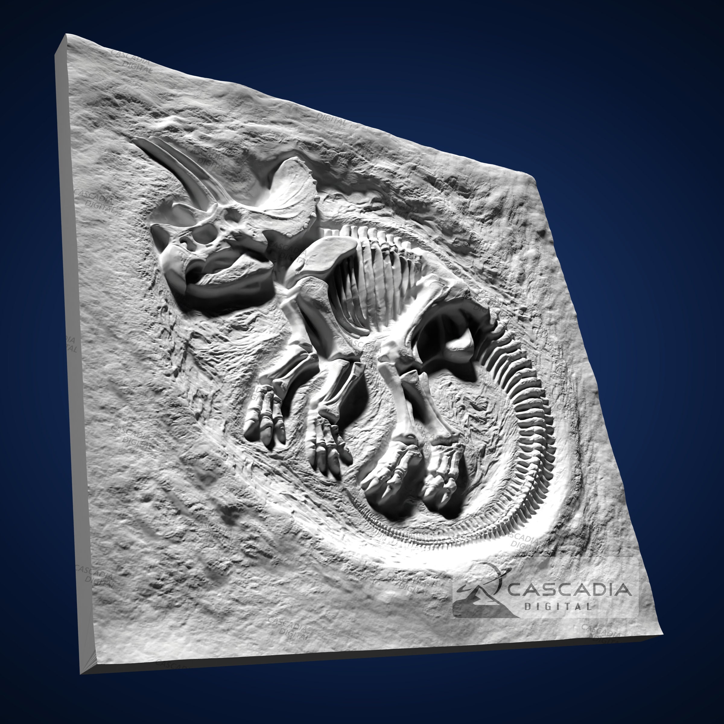 Triceratops Fossil Full - STL Model for CNC Router and 3D Printing - Etsy