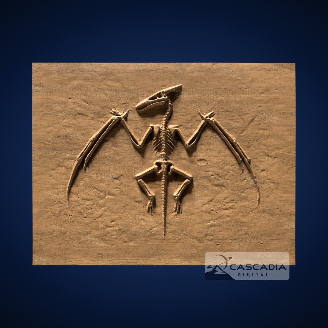 Fossil Full Pterodactyl 3D STL File for CNC Router, 3D Print, Casting ...