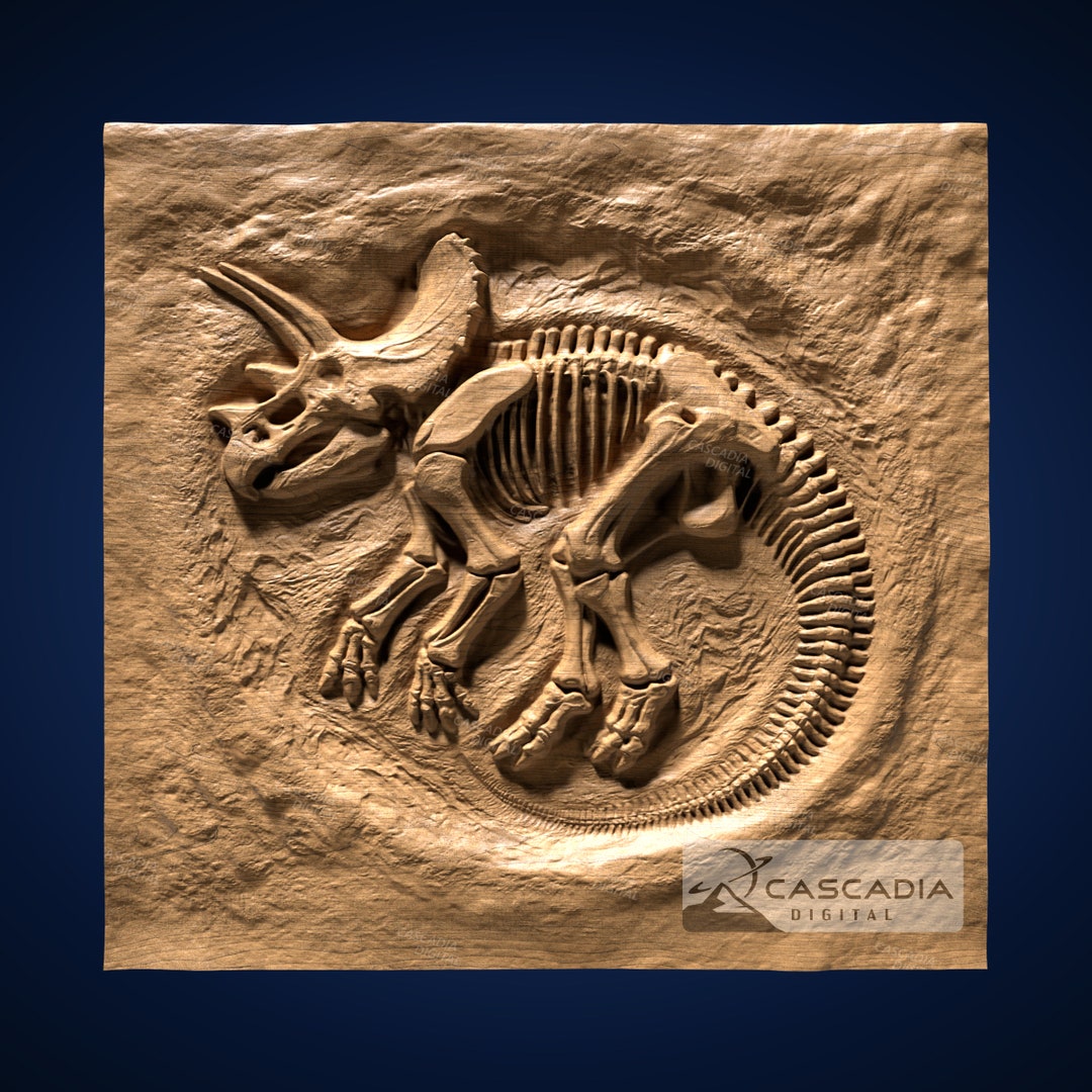 Triceratops Fossil Full - 3D STL Model for CNC/3D Printing - Dino ...