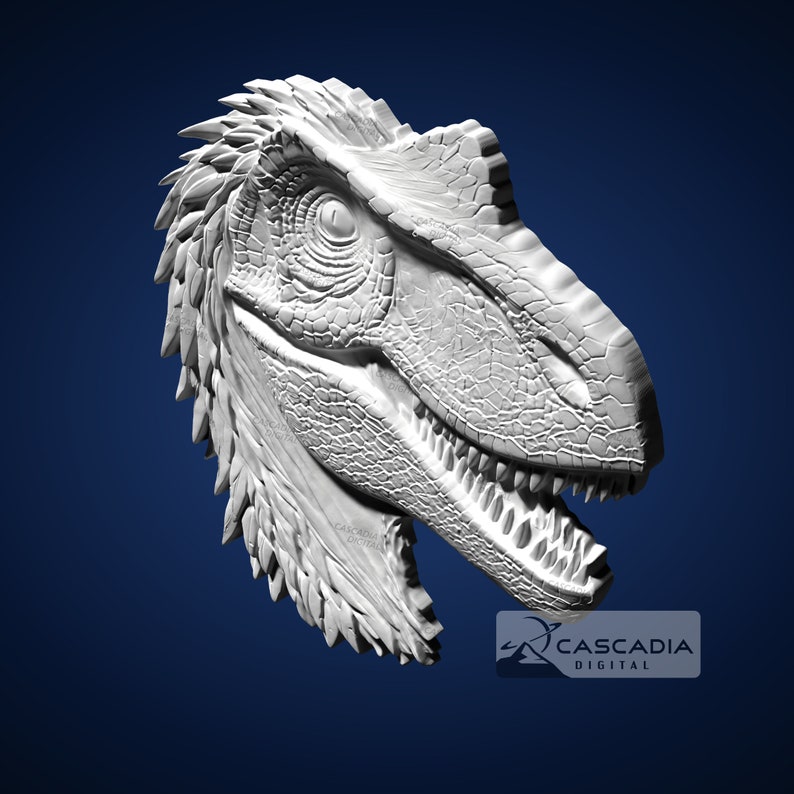 Raptor Head 3D STL File for CNC Router, 3D Print, Casting, Wood Carving ...