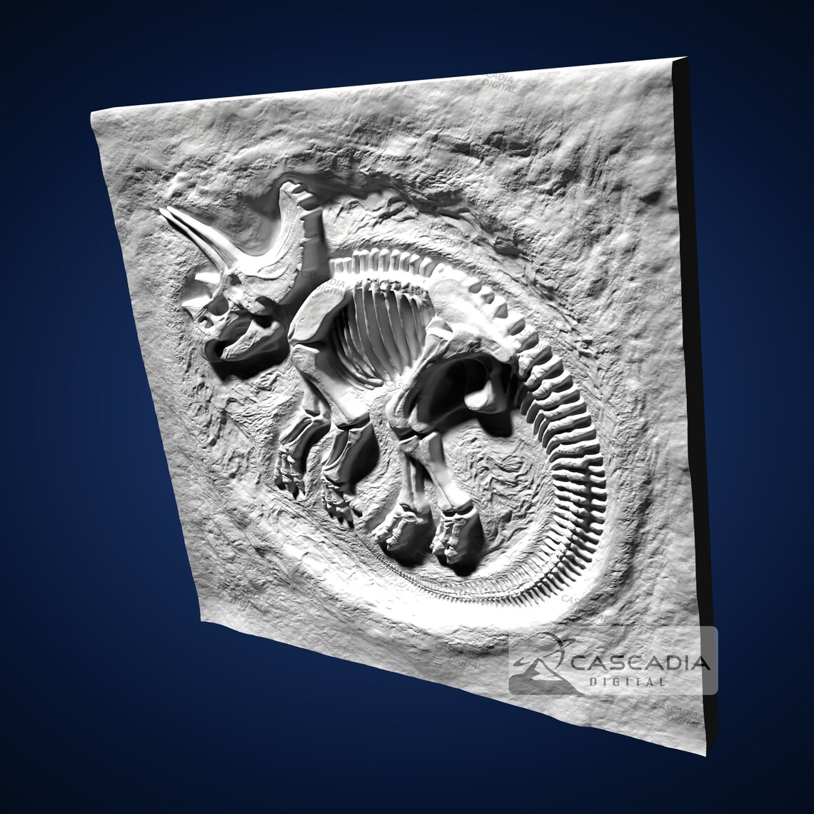 Triceratops Fossil Full - STL Model for CNC Router and 3D Printing - Etsy