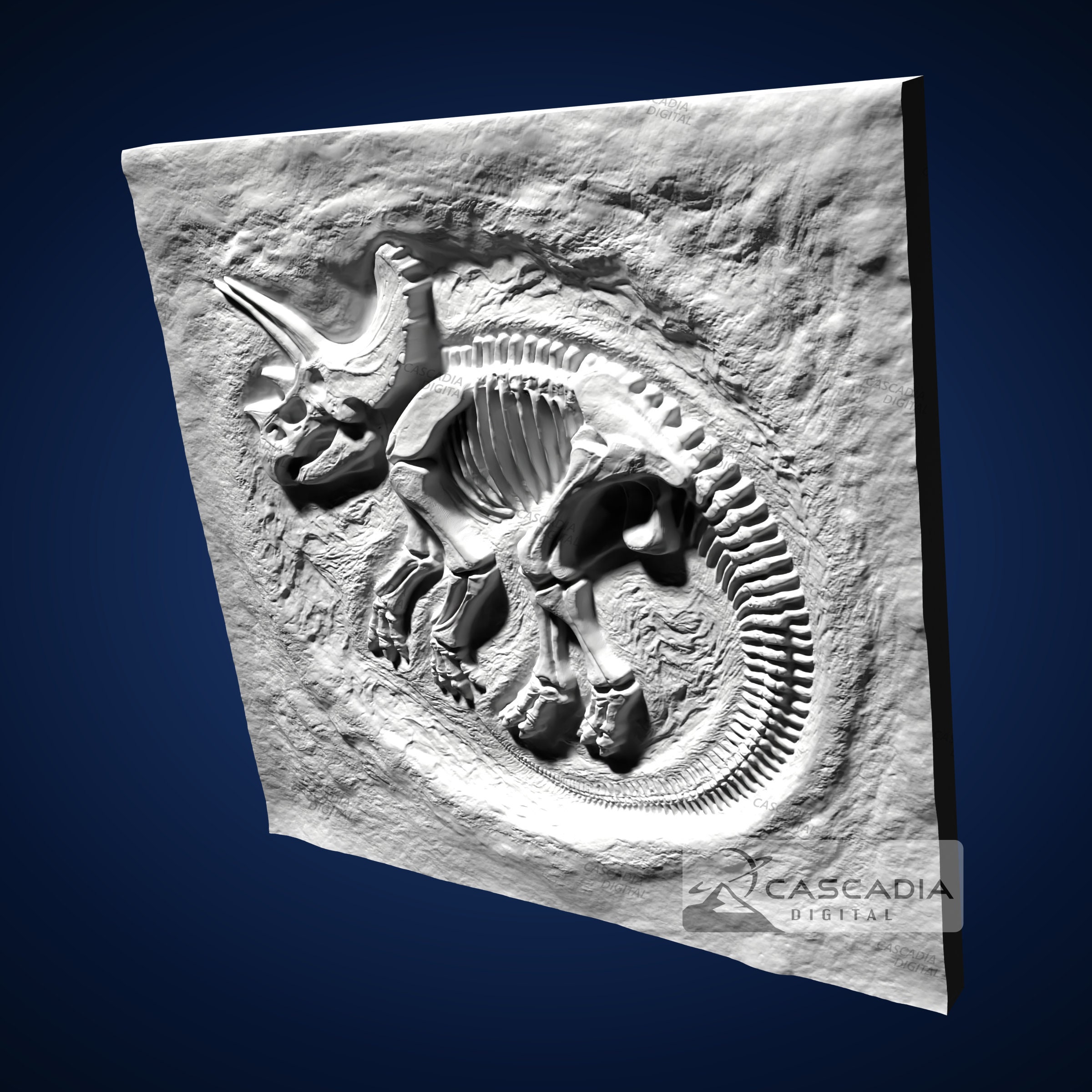 Triceratops Fossil Full - STL Model for CNC Router and 3D Printing - Etsy