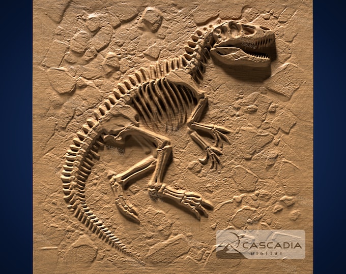 Infant T-rex Fossil Skull Model 3D Printed - Etsy