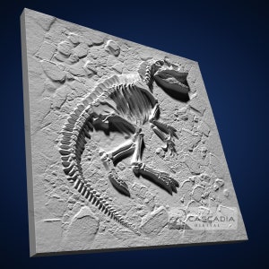 Trex Fossil Full - 3D STL Model for CNC/3D Printing - Dino Dinosaur ...