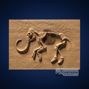 Woolly Mammoth Fossil Full 3D STL File for CNC Router, 3D Print ...