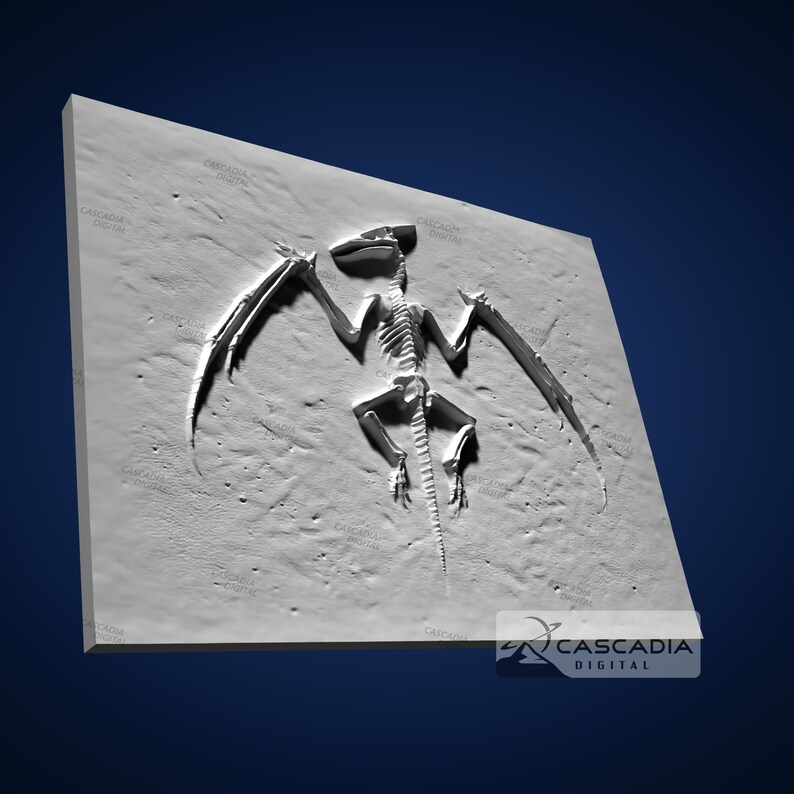 Fossil Full Pterodactyl 3D STL File for CNC Router, 3D Print, Casting ...