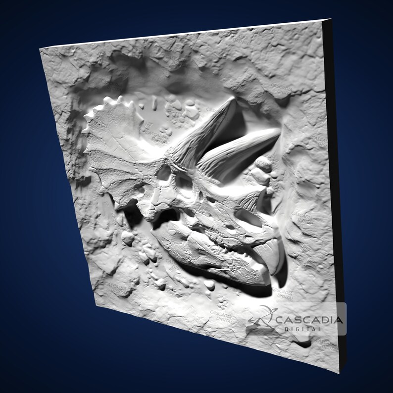 Triceratops Fossil Skull in Rock - STL Model for CNC Router and 3D ...