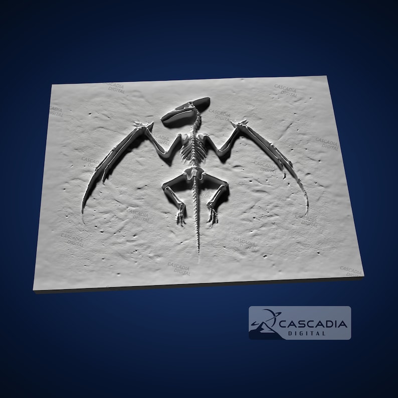 Fossil Full Pterodactyl 3D STL File for CNC Router, 3D Print, Casting ...