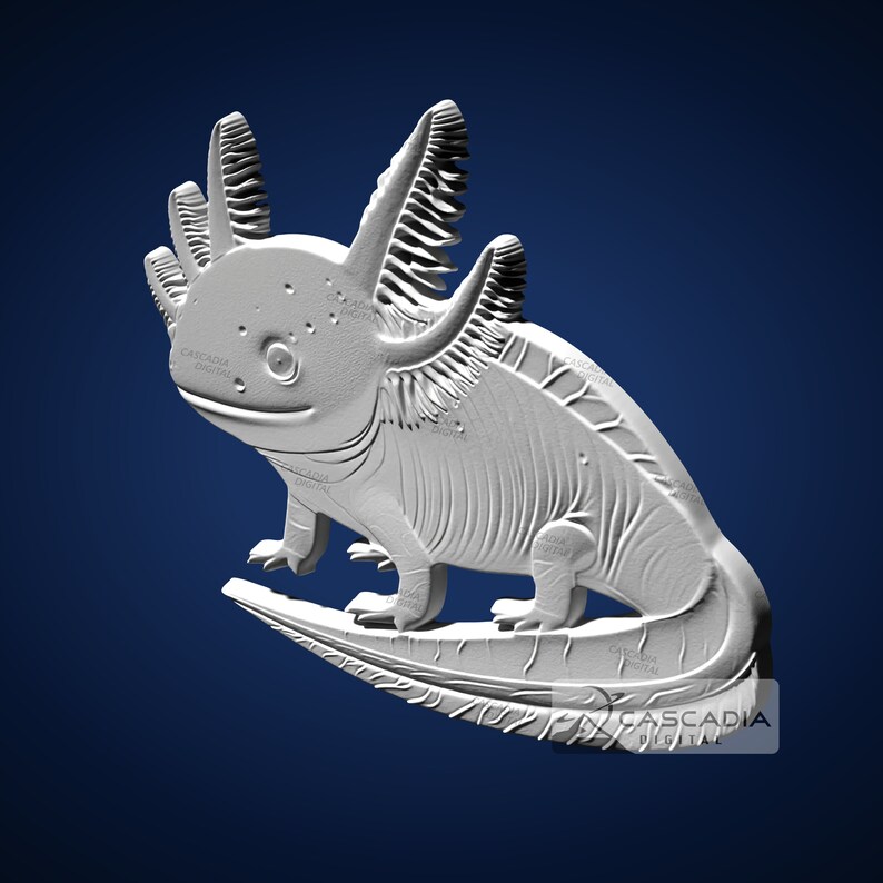 Axolotl - 3D STL Model for CNC/3D Printing - Animal Wildlife Nature ...