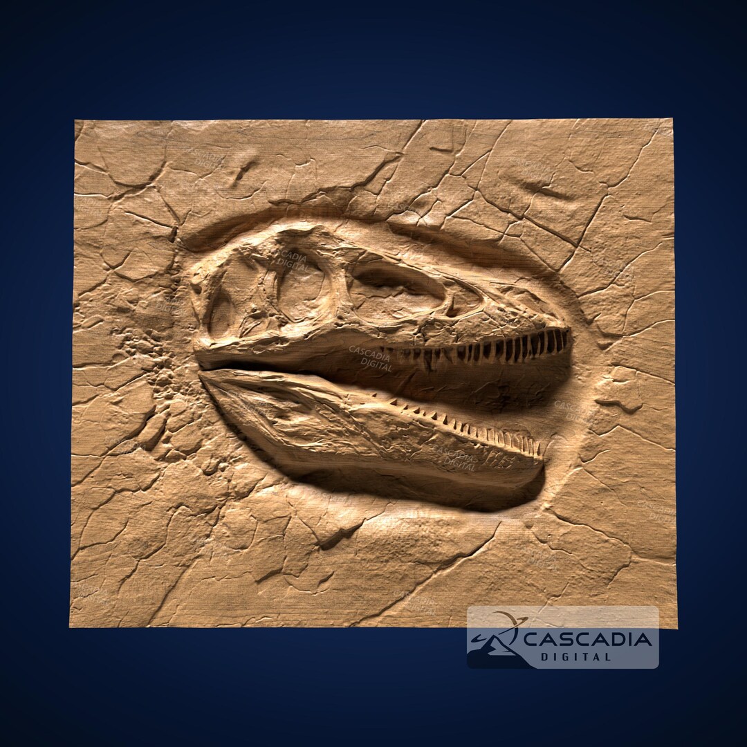 Raptor Skull in Rock - STL Model for CNC Router and 3D Printing - Etsy UK