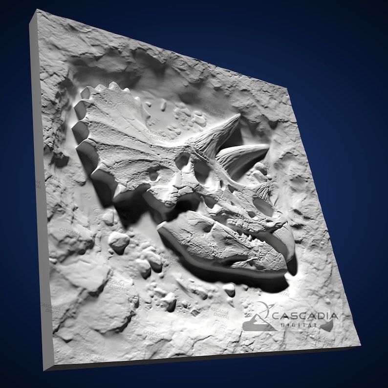 Triceratops Fossil Skull in Rock - STL Model for CNC Router and 3D ...