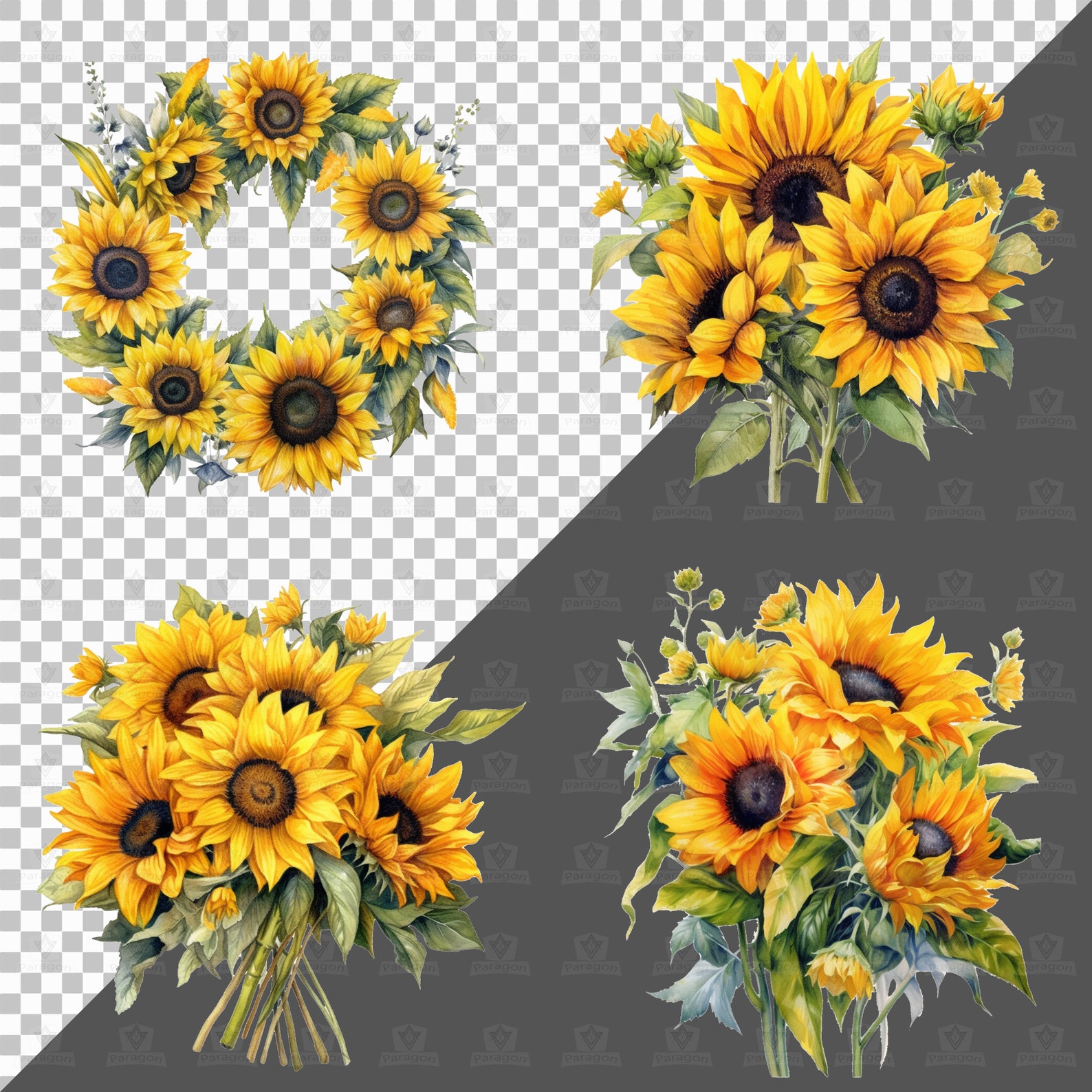 Sunflowers Watercolor Clipart. 12 Transparent Clipart Pngs, Instant ...