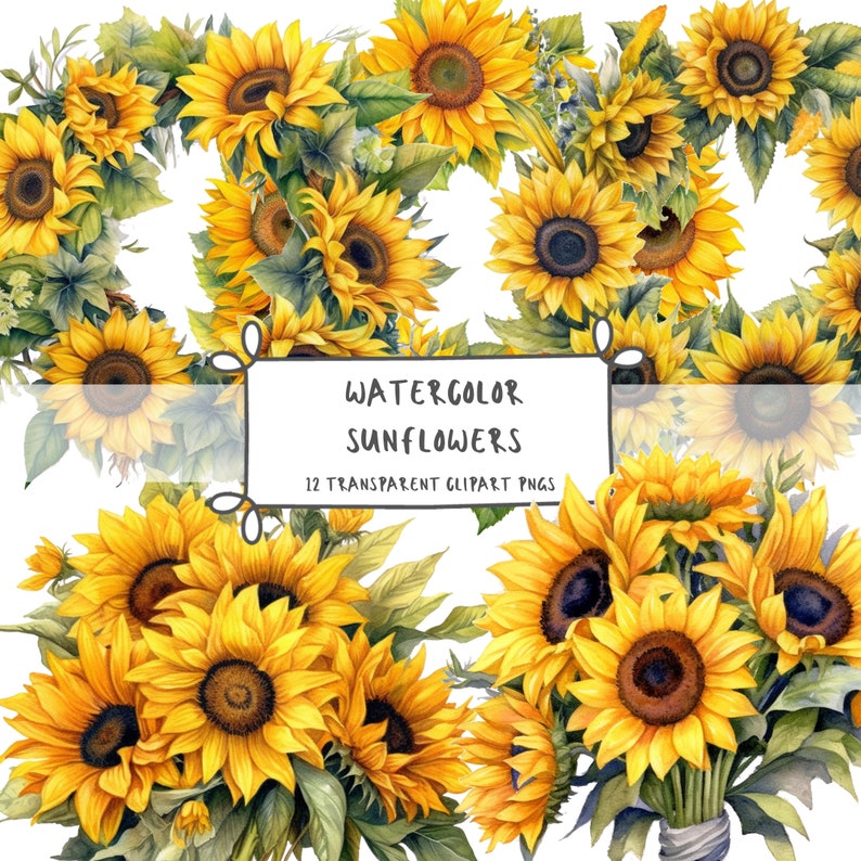 Sunflowers Watercolor Clipart. 12 Transparent Clipart Pngs, Instant ...