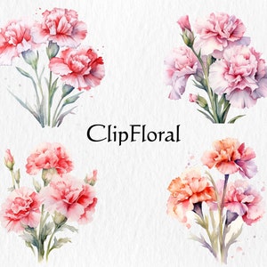 Watercolor Carnation Flowers Clipart Bundle - Watercolor Carnation ...
