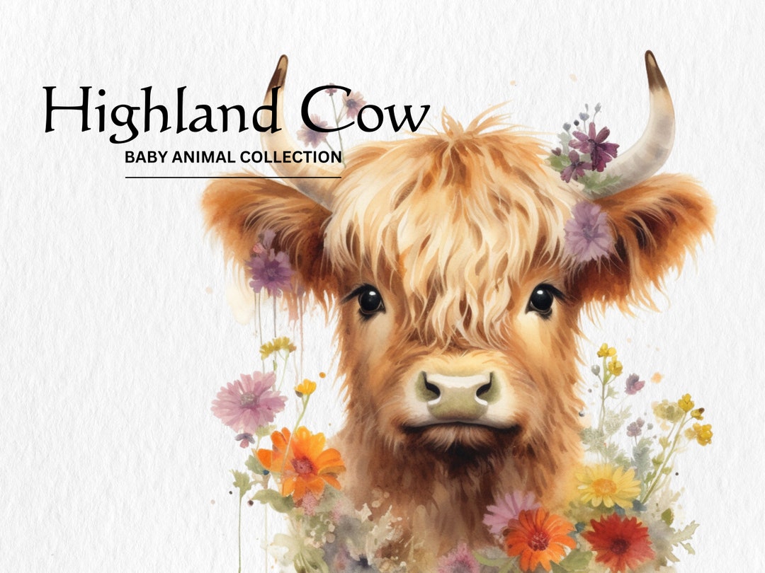 Baby Highland Cow Clipart, 8 High Quality Pngs, Watercolor Illustration ...