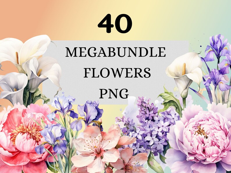40 PNG Flowers Mega Bundle Clipart Watercolor Flower Clipart - Etsy