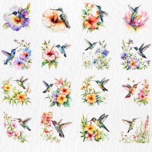 50 Mega Hummingbird PNG Bundle, Watercolor Hummingbird PNG Clipart ...