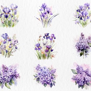 40 PNG Flowers Mega Bundle Clipart, Watercolor Flower Clipart, Flower ...