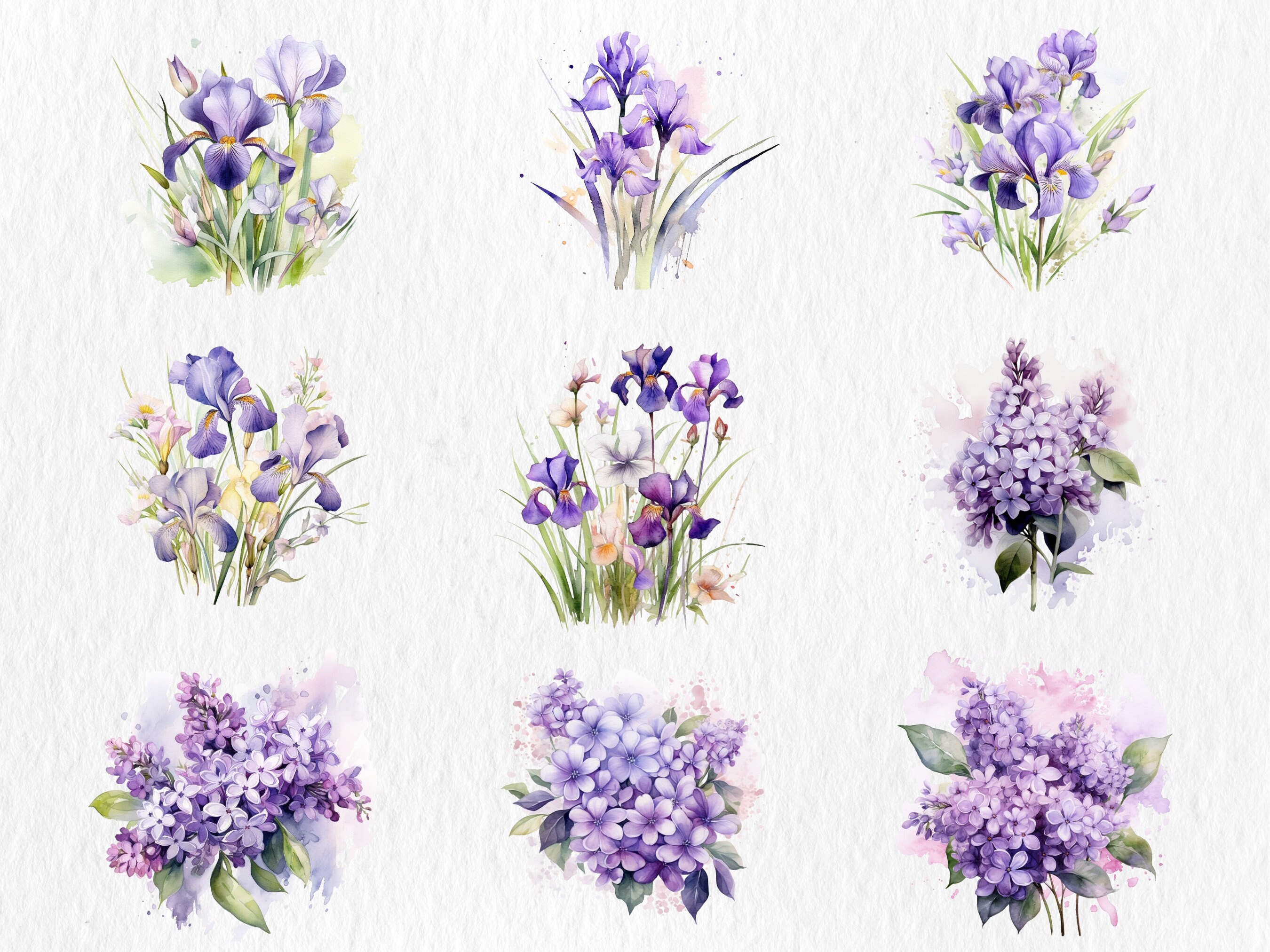 40 PNG Flowers Mega Bundle Clipart Watercolor Flower Clipart - Etsy