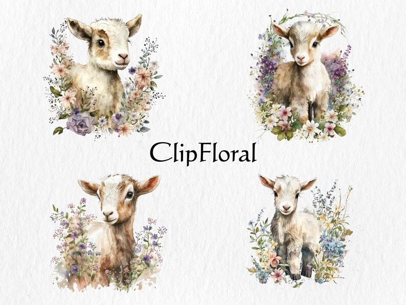 Watercolor Goat Clipart Bundle Watercolor Baby Goats PNG Format Instant ...