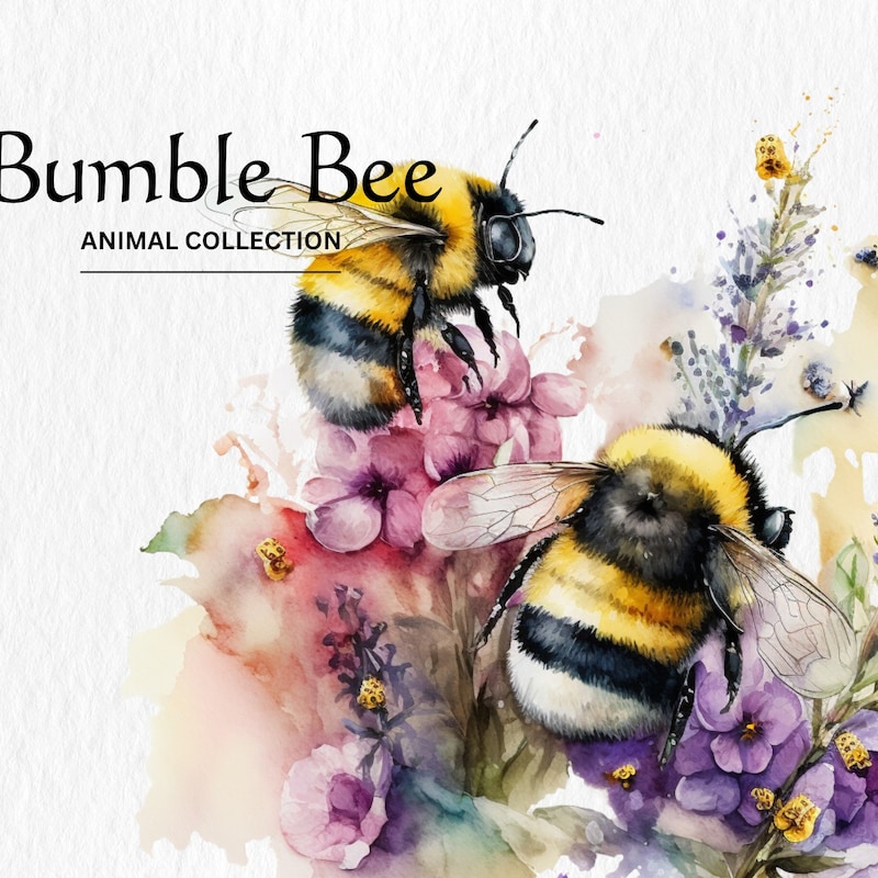 Bumble Bee Clipart - Etsy