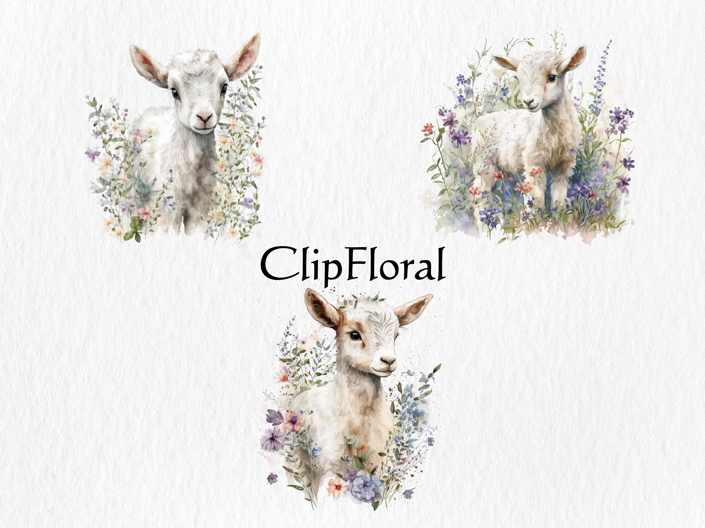 Watercolor Goat Clipart Bundle Watercolor Baby Goats PNG - Etsy