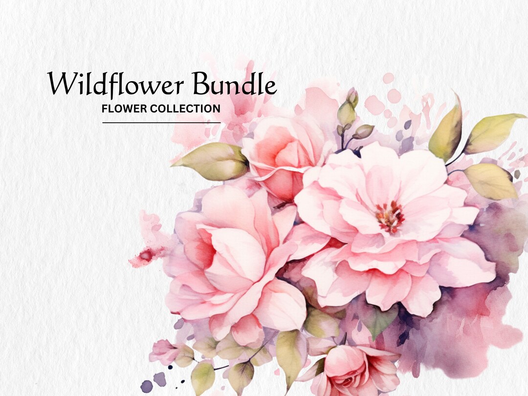Watercolor Wildflower Bundle Clipart Bundle Watercolor Wildflower ...
