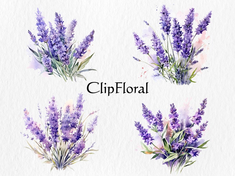 Watercolor Lavender Flowers Clipart Bundle (PNG Digital Download) - Etsy