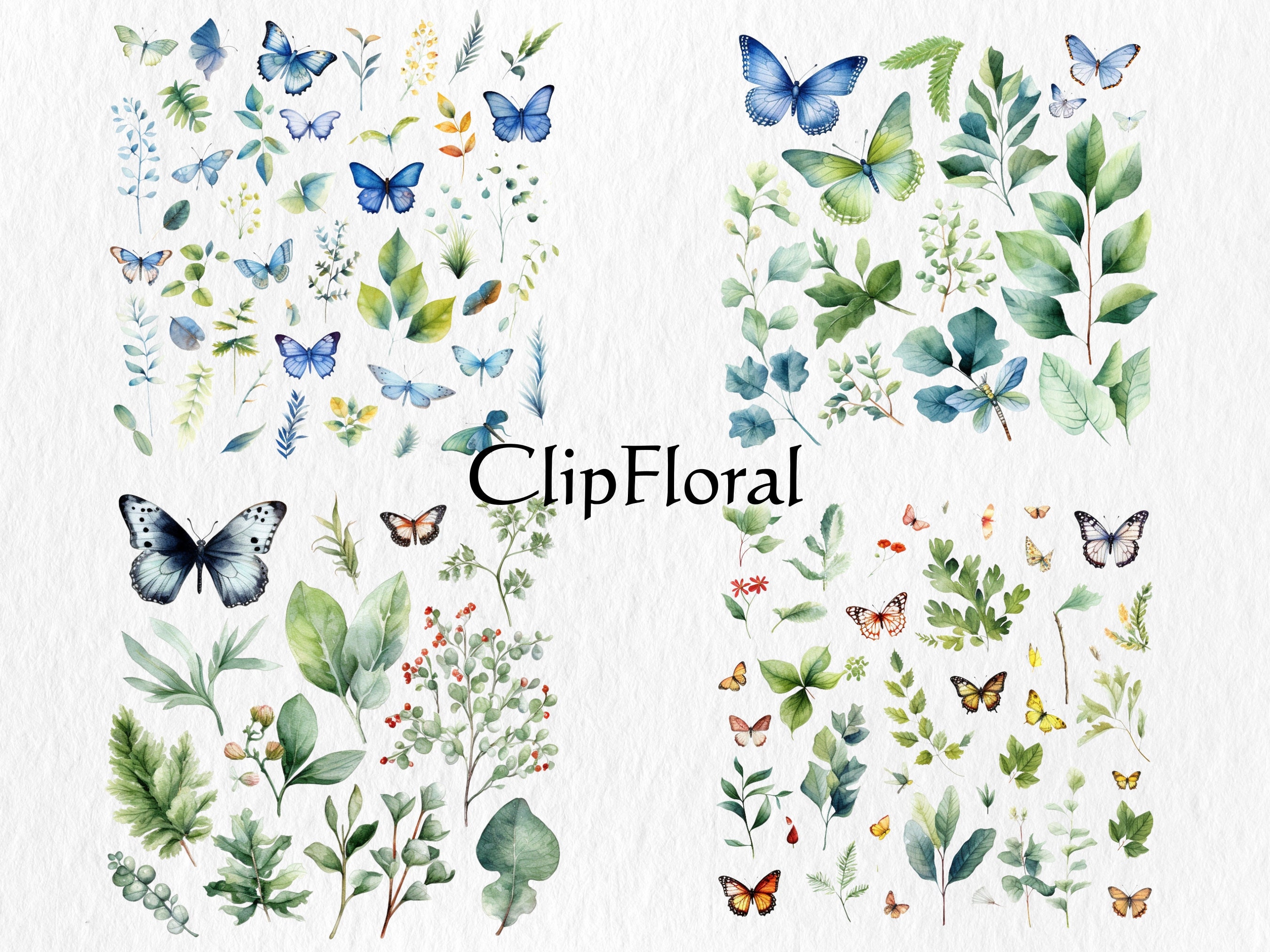 Watercolor Butterflies Clipart Bundle Assortment of Butterflies Flowers ...
