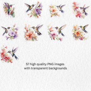 50 Mega Hummingbird PNG Bundle, Watercolor Hummingbird PNG Clipart ...