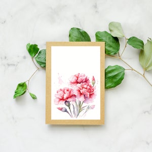 Watercolor Carnation Flowers Clipart Bundle - Watercolor Carnation ...