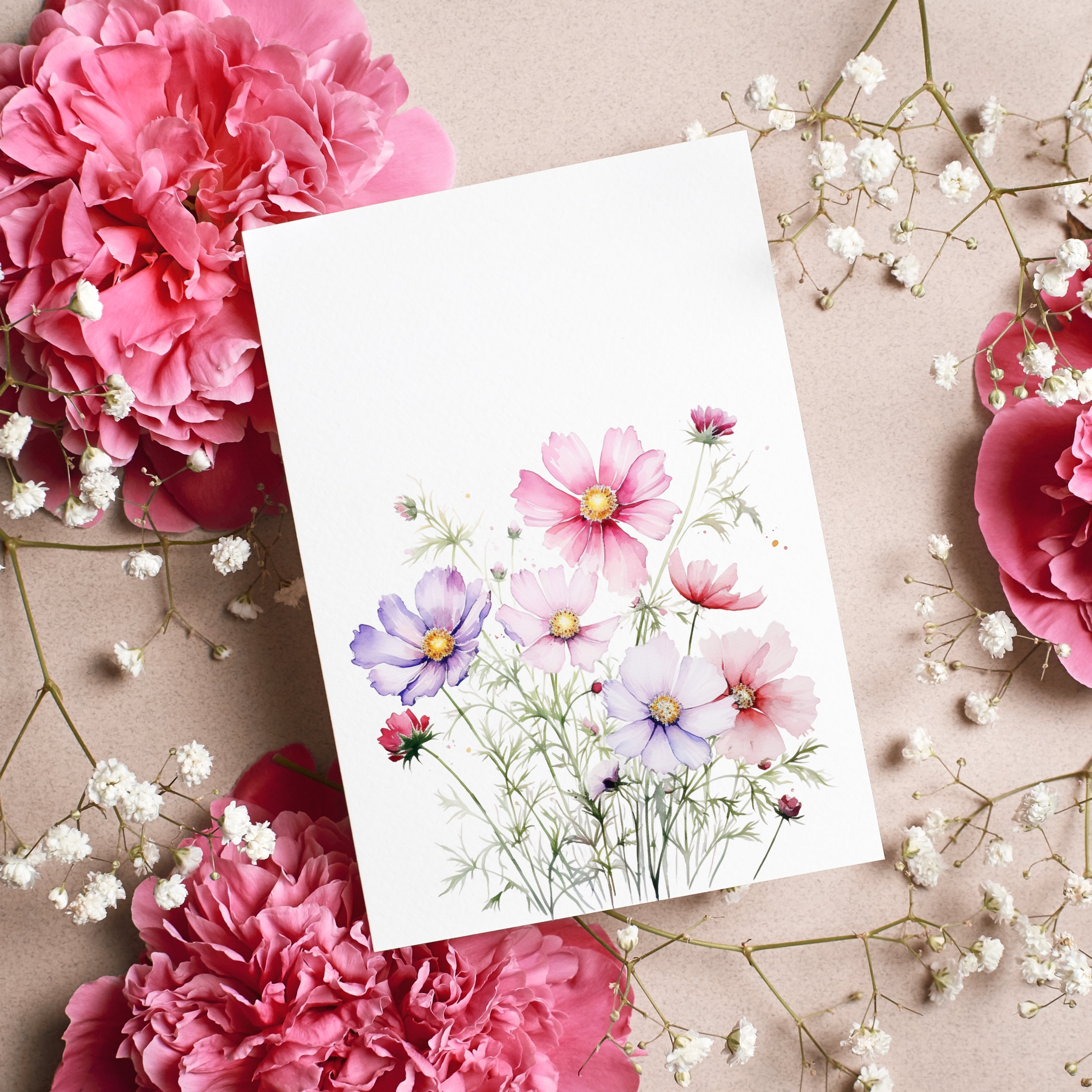 Watercolor Cosmos Clipart Wild Flower Clipart Spring Floral - Etsy