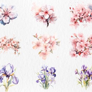 40 PNG Flowers Mega Bundle Clipart, Watercolor Flower Clipart, Flower ...
