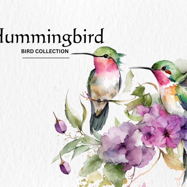 Hummingbird Clip Art - Etsy