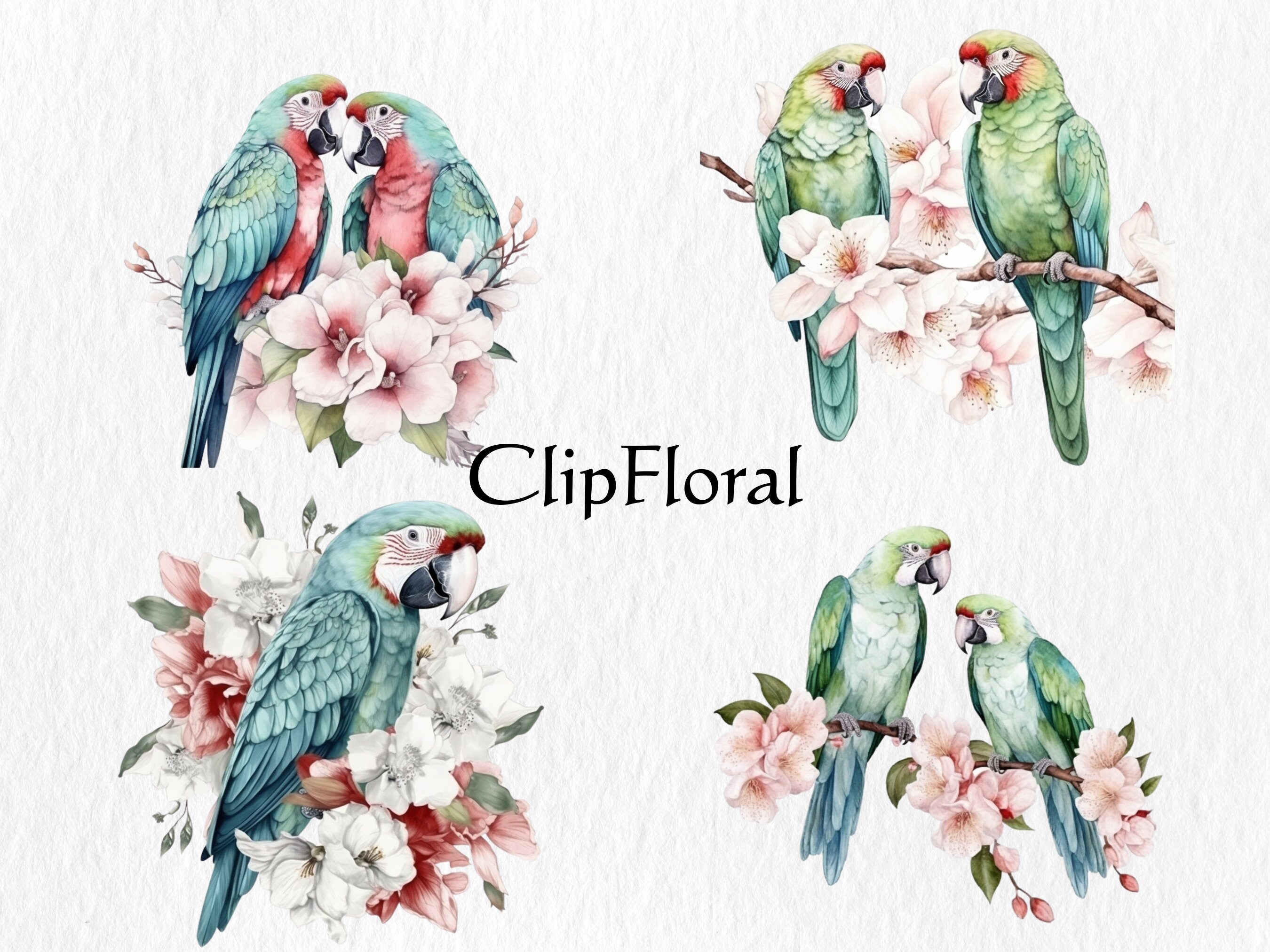 Macaw Parrots Clipart, 8 High Quality Pngs, Nursery Art, Digital ...