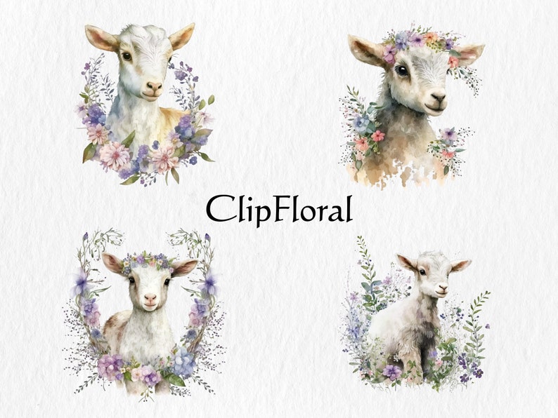Watercolor Goat Clipart Bundle Watercolor Baby Goats PNG - Etsy