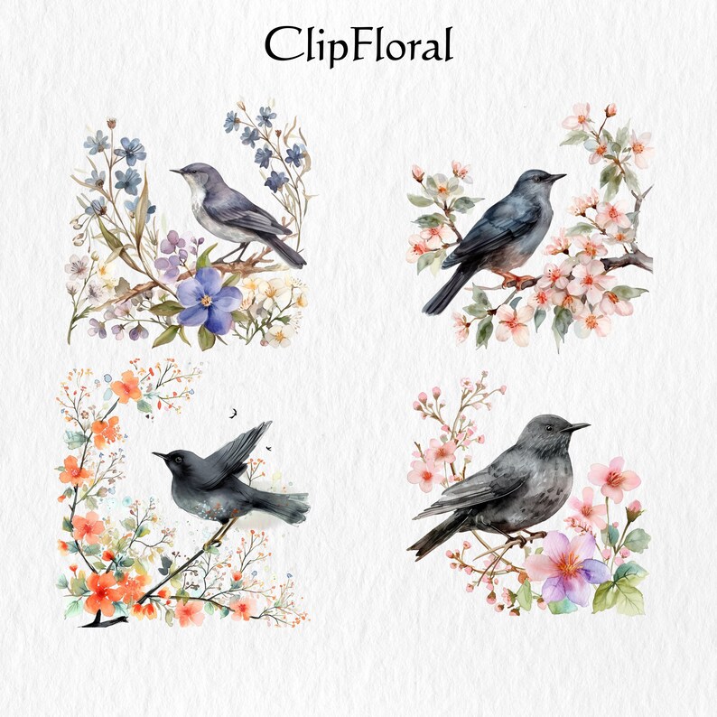 Watercolor American Dipper Clipart, 10 High Quality Pngs, Nursery Art ...