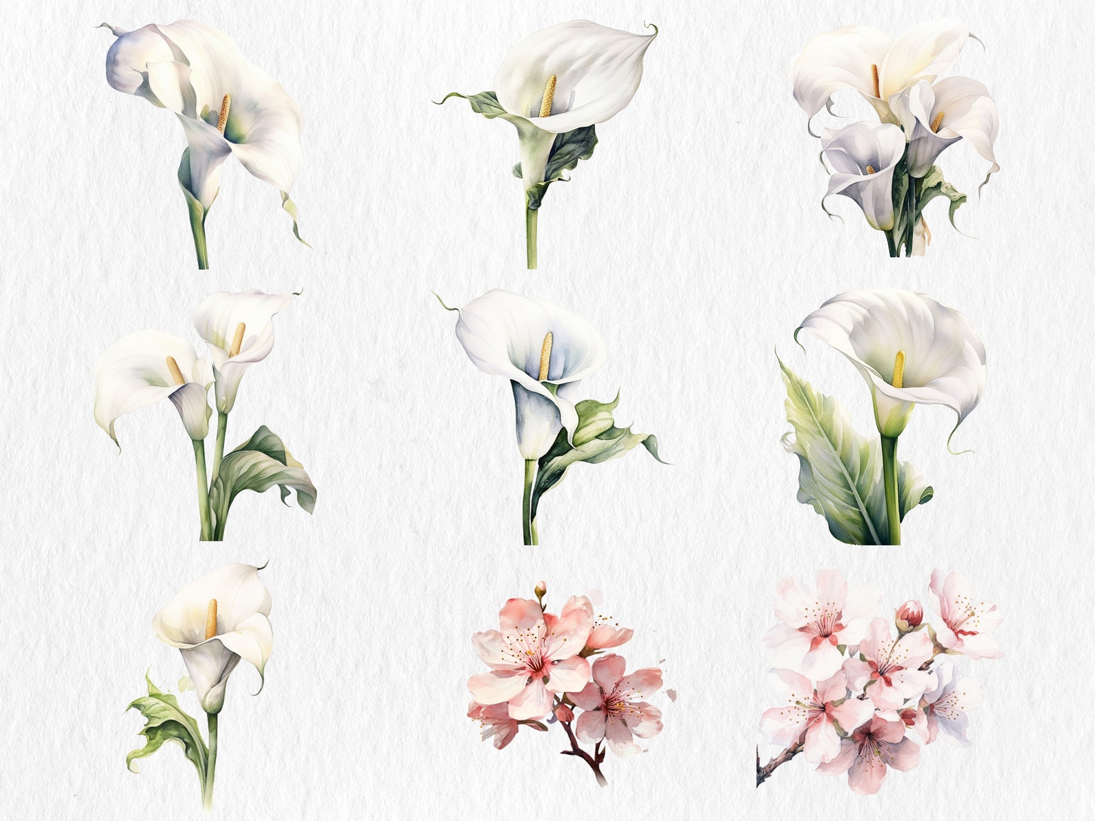 40 PNG Flowers Mega Bundle Clipart Watercolor Flower Clipart - Etsy