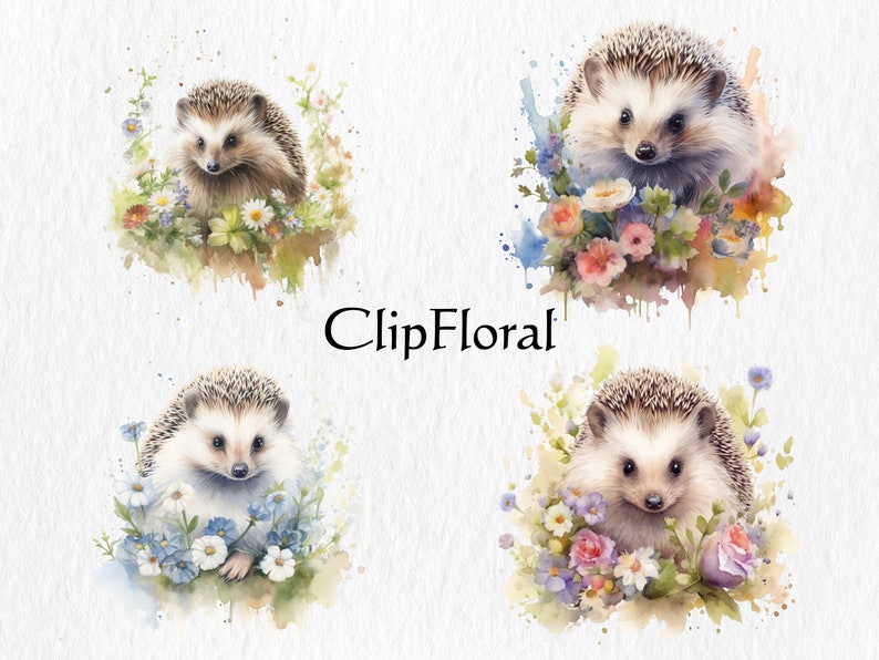 Baby Hedgehog Watercolor Clipart, Nursery Art (digital Download) - Etsy