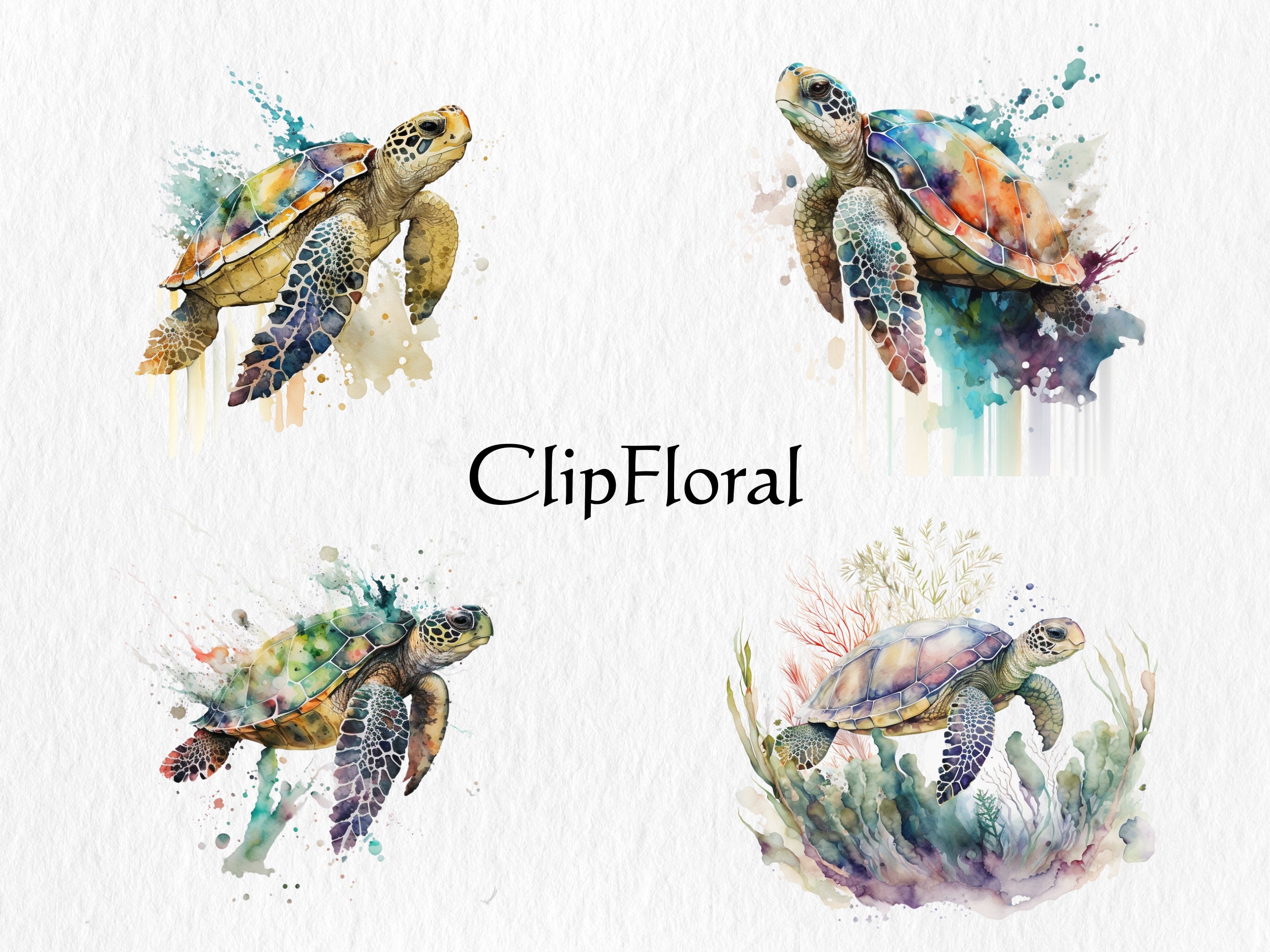 Watercolor Sea Turtle Clipart Bundle Watercolor Sea Turtles - Etsy