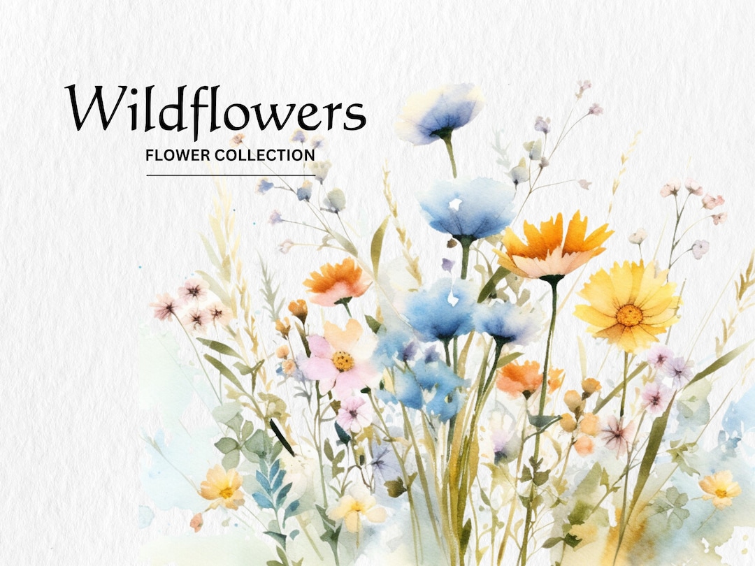 Watercolor Wildflowers Clipart Bundle – Floral PNG, Commercial Use ...