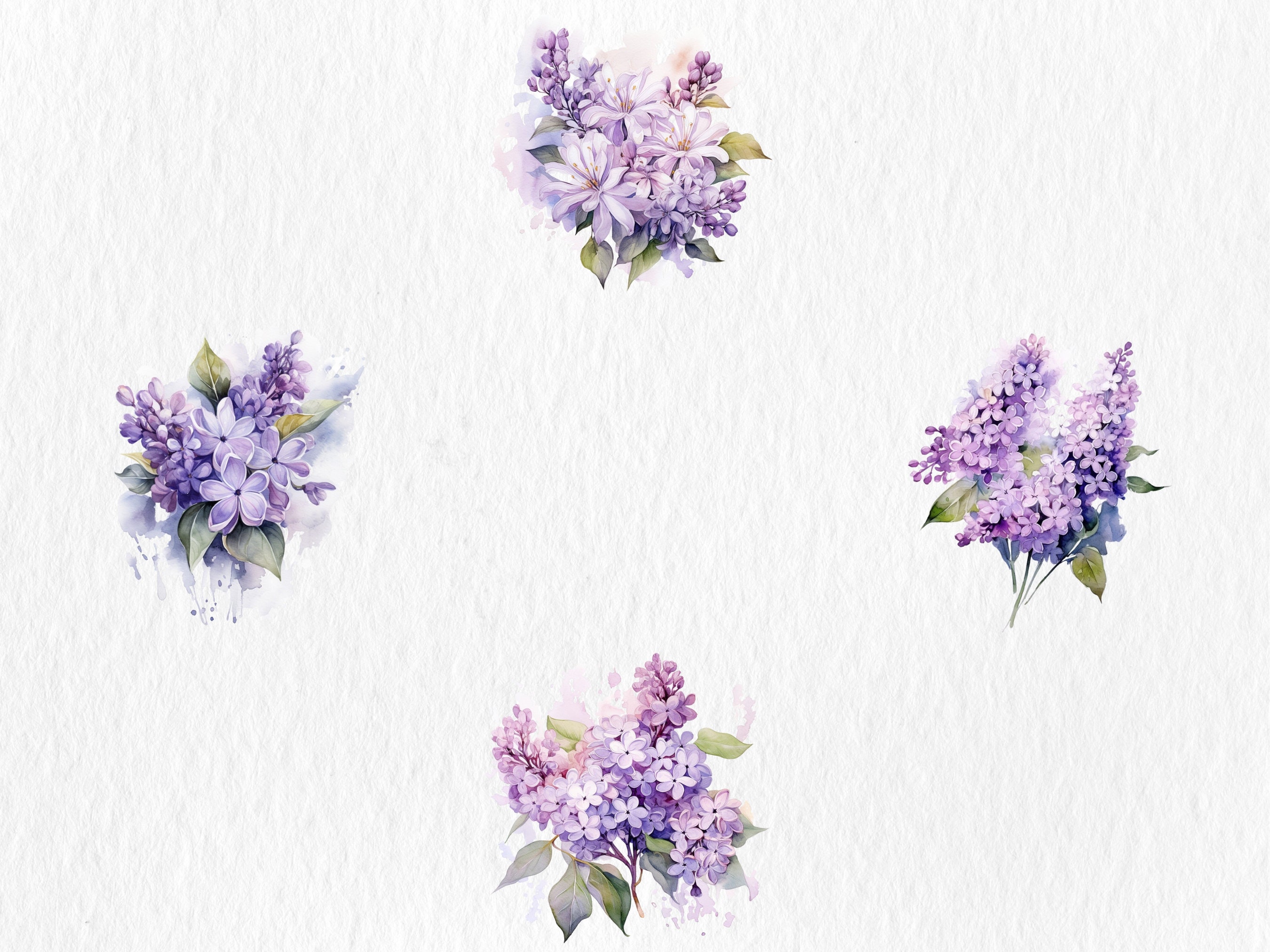 40 PNG Flowers Mega Bundle Clipart Watercolor Flower Clipart - Etsy