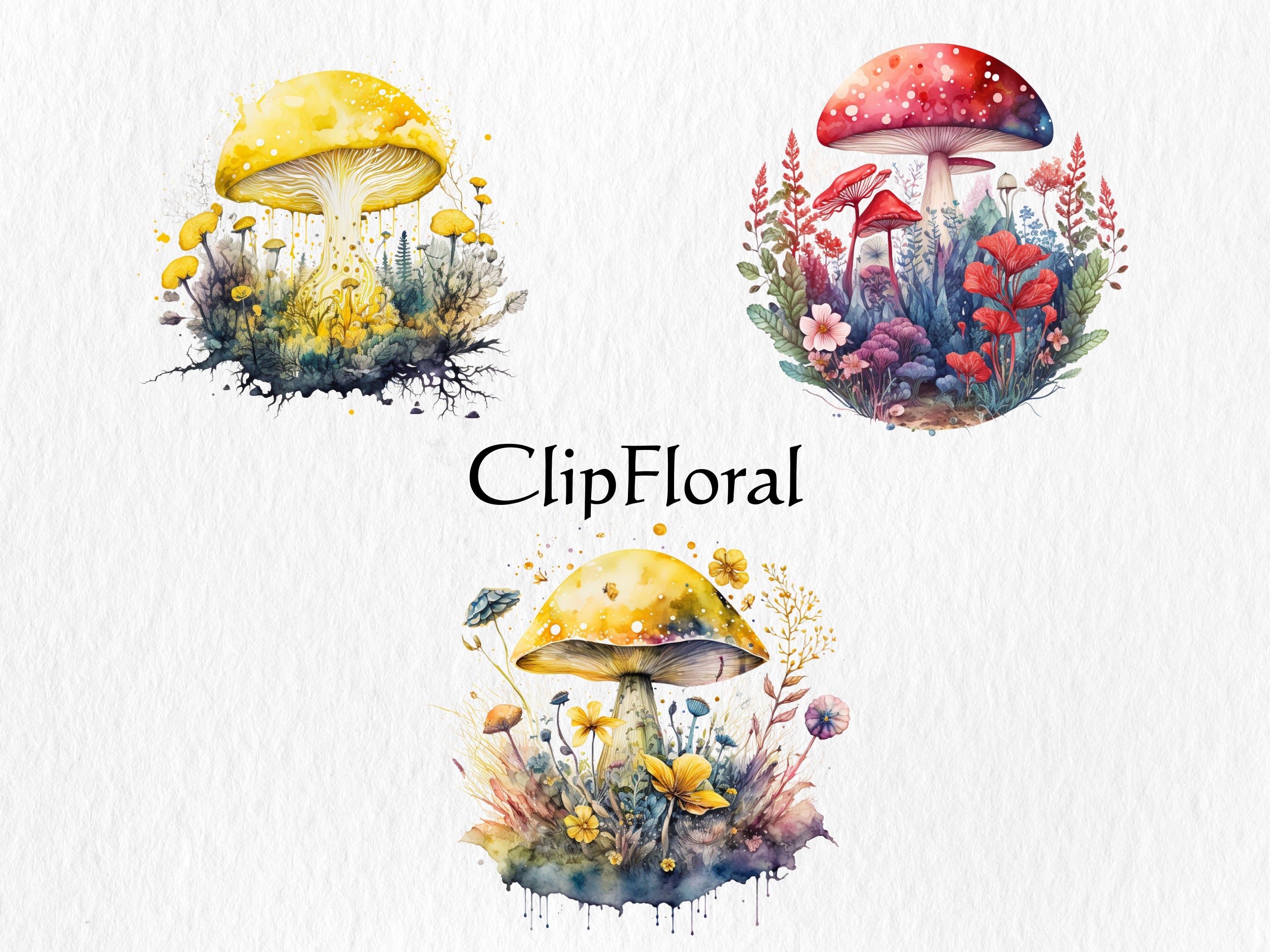 Watercolor Mushroom Clipart Bundle – Magical Fantasy PNG (digital ...