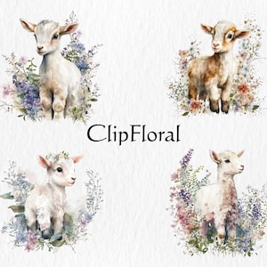 Watercolor Goat Clipart Bundle - Watercolor Baby Goats PNG Format ...