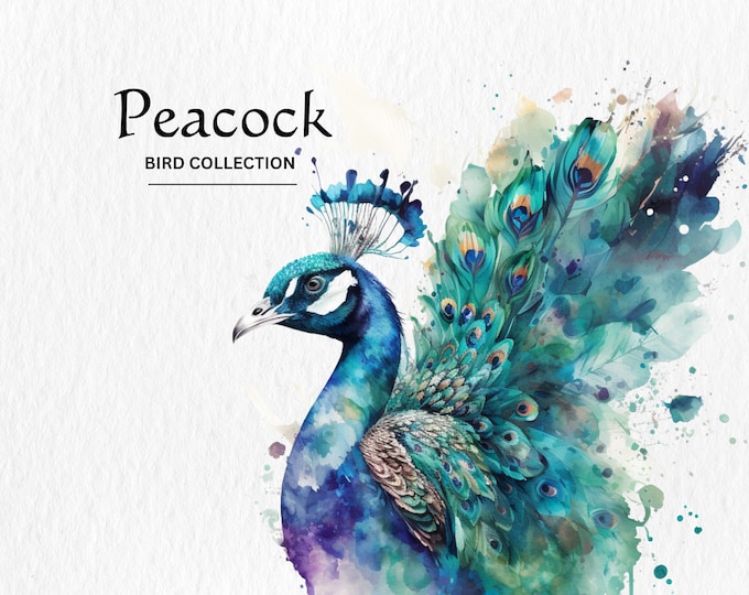 Peacock Watercolor Clipart Peacock and Flowers Vector Clip Art Instant ...