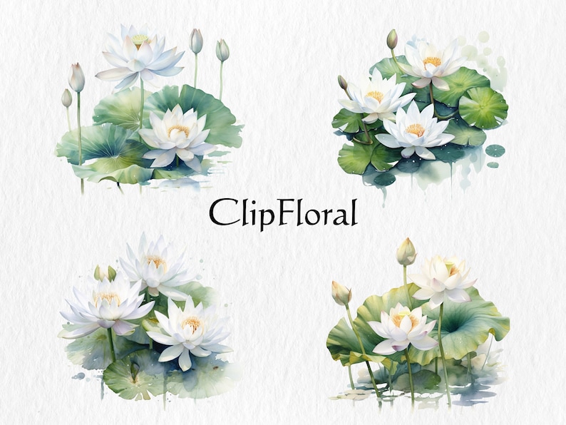 Watercolor Lotus Flowers Clipart Bundle Watercolor Lotus Flowers 8 PNG ...