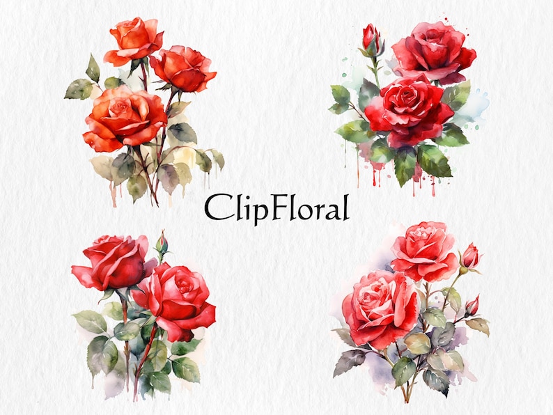 Watercolor Rose Flowers Clipart Bundle Watercolor Rose - Etsy